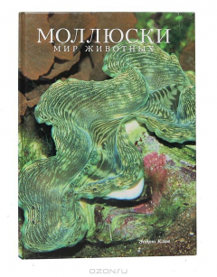 Моллюски найти, Эндрю Клив отзывы читать на ReadRate